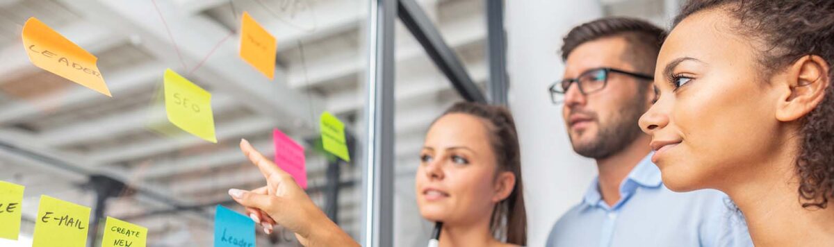 Project Management Federal Government | Project Mgt Training